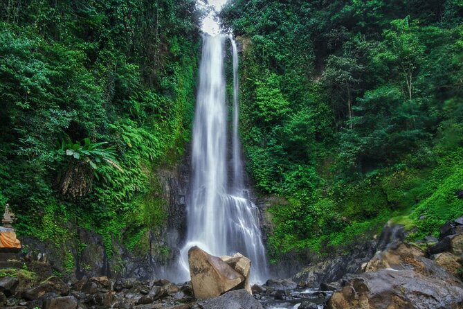 Dolphin Tour and Sunrise Watching in Lovina Beach - All Inclusive - FAQs