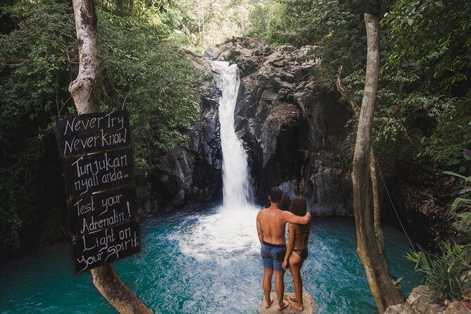 Dolphin Tour - Waterfall - Wanagiri Hill - Temple on the Lake - Free WiFi - Exploring Bali’s North: An In-Depth Review of the Experience