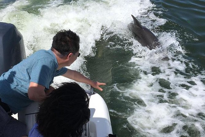 Dolphin Tours - Fort Myers Beach / Naples - Customer Feedback and Ratings