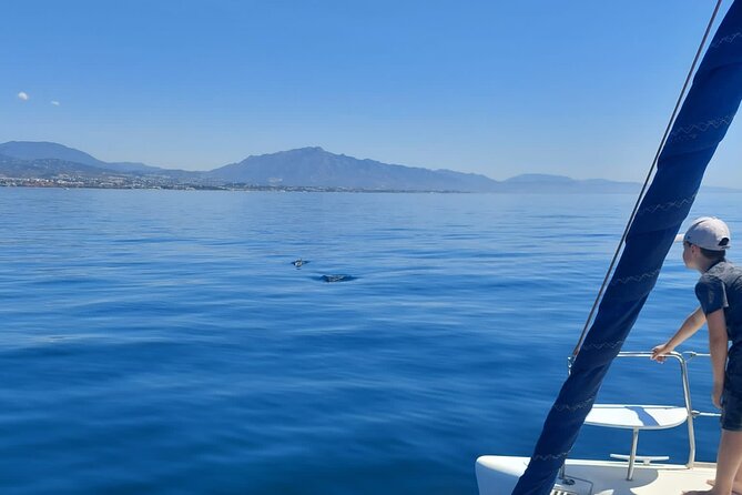 Dolphin Trips on a Catamaran - Customer Reviews and Experiences