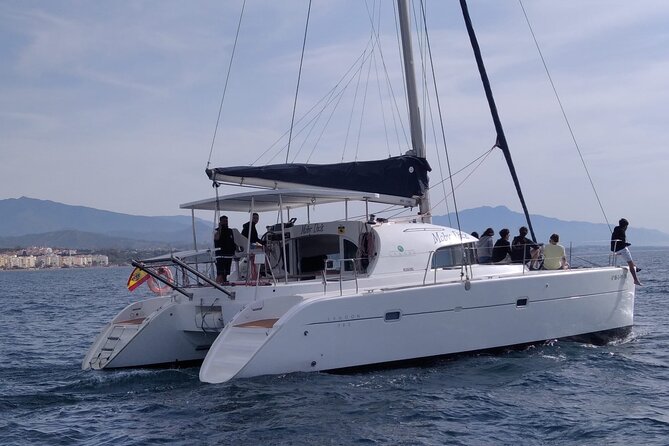 Dolphin Trips on a Catamaran - Dolphin Sightings and Activities