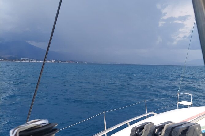 Dolphin Trips on a Catamaran - Crew and Catamaran Descriptions