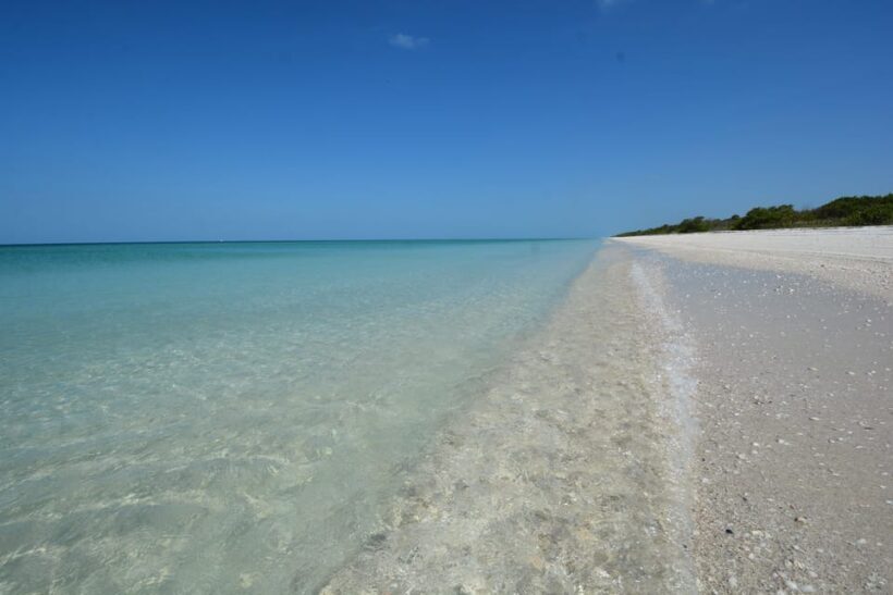 Dolphin Watch/Eco Cruise - Key Points