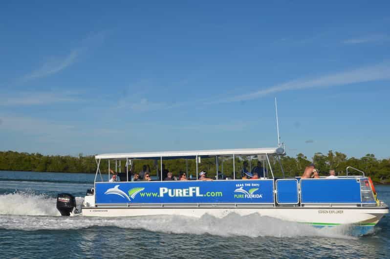 Dolphin Watch/Eco Cruise - An In-Depth Look at the Experience