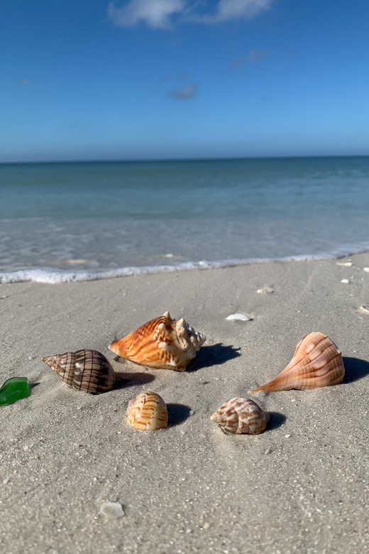 Dolphin Watch/Eco Cruise - Who Will Love This Tour?