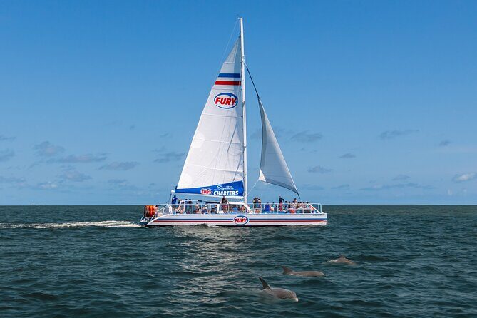 Dolphin Watch & Harbor Tour in Historical St. Augustine - The Value Factor