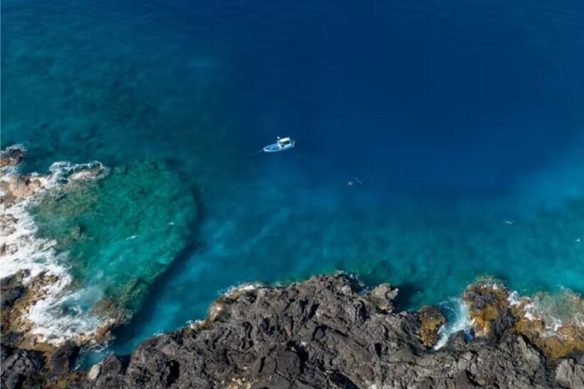 Dolphin Watch Snorkel and BBQ in Kona, Big Island - Practical Details & Considerations