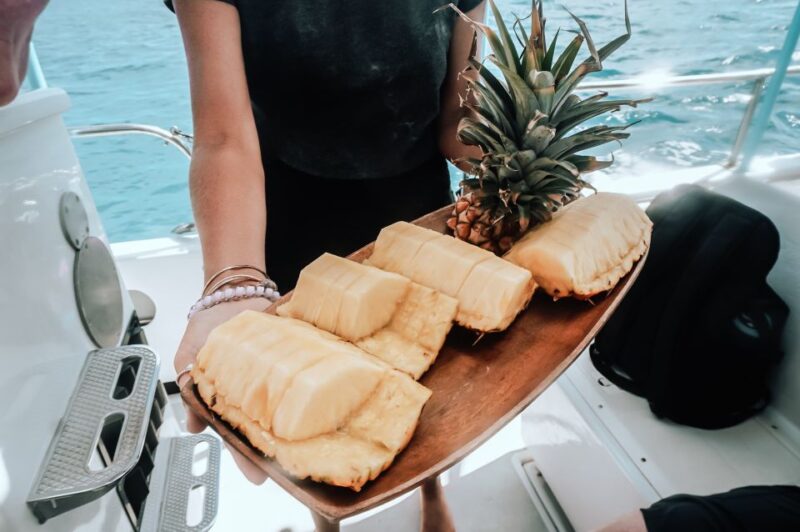 Dolphin Watch Snorkel and BBQ in Kona, Big Island - The Pros and Cons