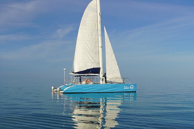 Dolphin Watch + Sunset Sail with Honest Eco - The Itinerary and What You Can Expect