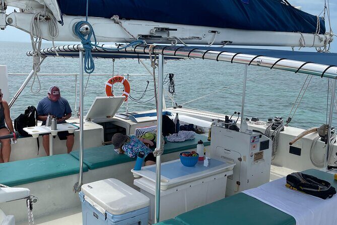Dolphin Watch + Sunset Sail with Honest Eco - The Sum Up