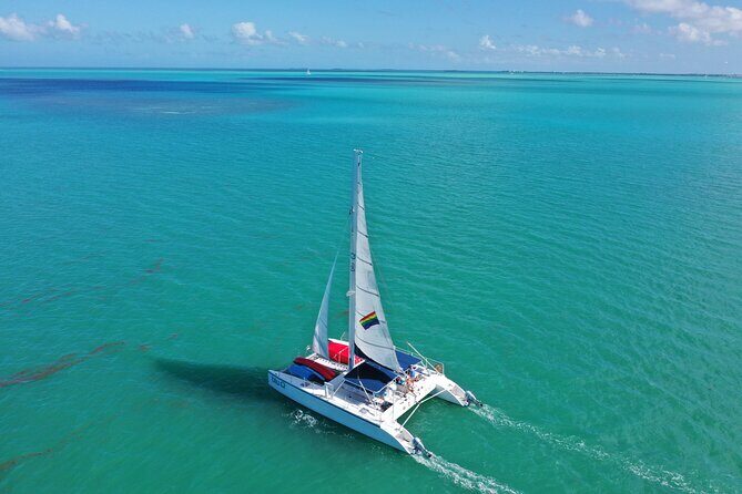Dolphin Watch + Sunset Sail with Honest Eco - FAQ