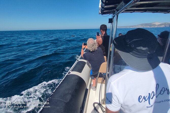 Dolphin Watching and Boat Tour in Sesimbra - Final Thoughts: Is It Worth It?