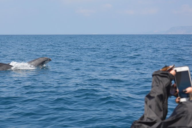 Dolphin Watching and Boat Tour in Sesimbra - FAQs