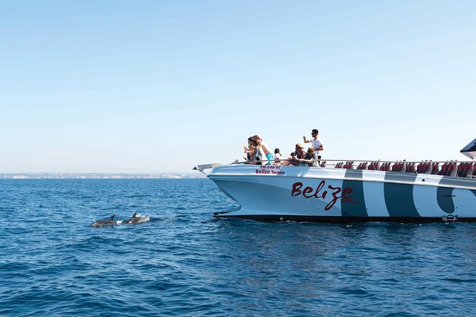 Dolphin Watching and Cave Boat Cruise from Albufeira - Introduction