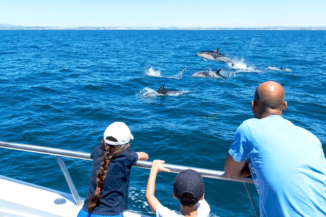 Dolphin Watching and Cave Boat Cruise Review - Highlights of the Experience
