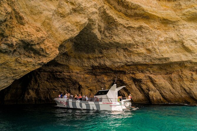 Dolphin Watching and Cave Boat Cruise Review - Boat and Crew Details