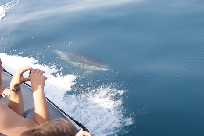 Dolphin Watching and Cave Tour From Vilamoura - The Friendly and Knowledgeable Crew