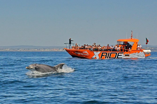 Dolphin Watching and Caves Cruise - Final Thoughts