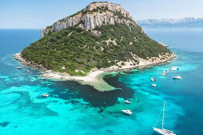 Dolphin Watching Boat Excursion to Figarolo Island From Olbia - Intimate and Personalized Small-Group Experience
