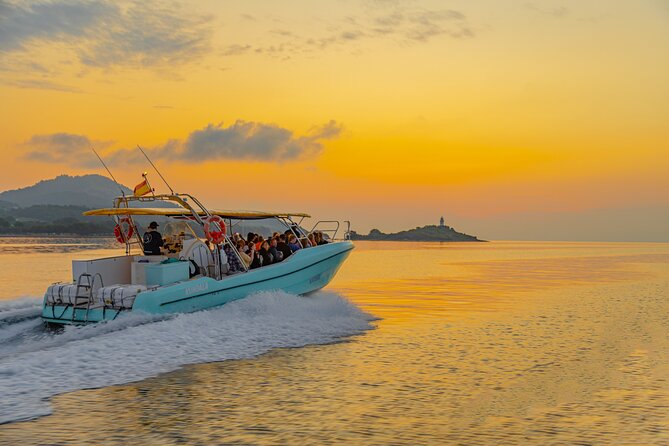 Dolphin watching by boat - Who Should Consider This Tour?