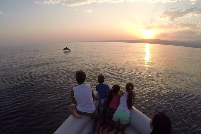 Dolphin Watching & Conservation - Dolphins in the Gulf of Catania - Eco-Friendly Dolphin Watching Tour