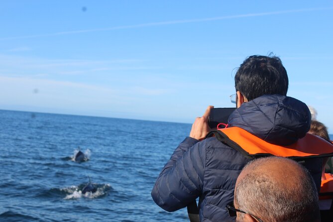 Dolphin Watching From Faro - Intimate Group Size