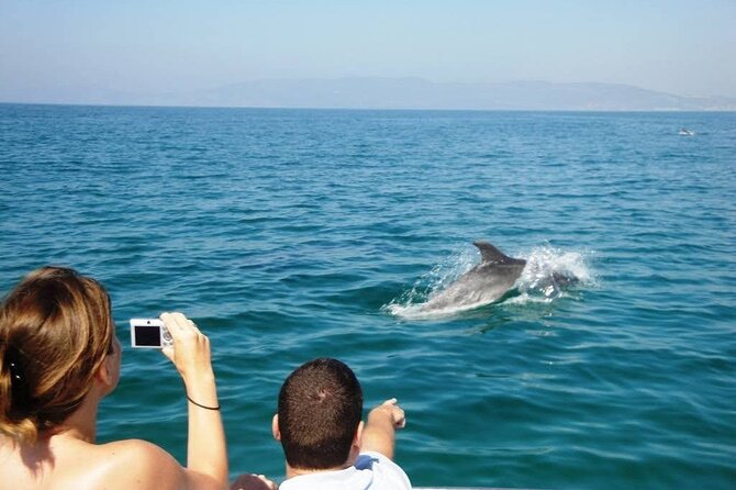 Dolphin Watching From Faro - Meeting Point and Pickup