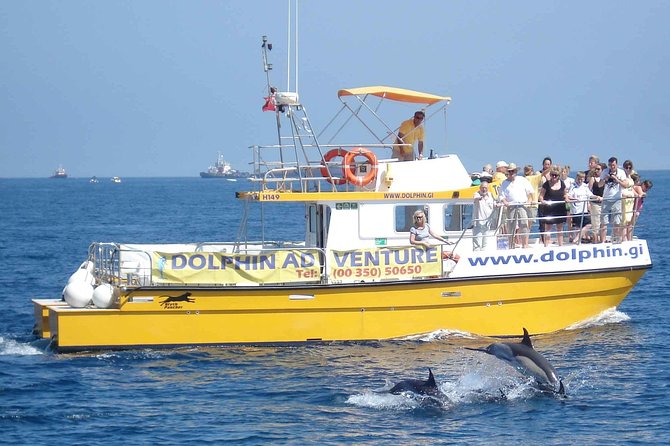 Dolphin Watching in Gibraltar & Fast Track Priority Cable Car - Whats Included and Additional Information