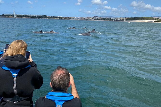 Dolphin Watching in Lisbon - Itinerary Highlights