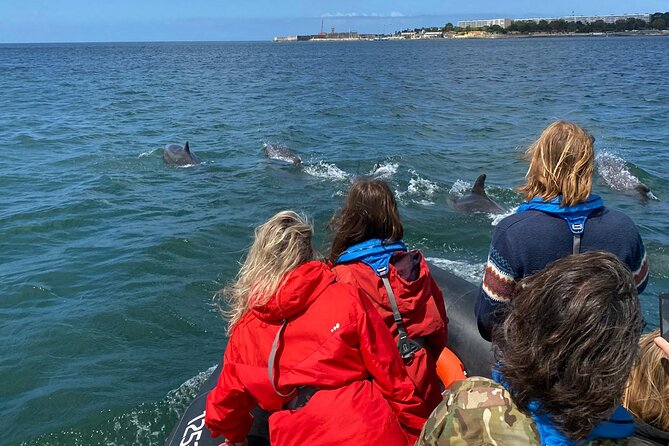 Dolphin Watching in Lisbon - Cancellation Policy