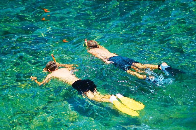 Dolphin Watching in Majorca - Meeting and Pickup Details