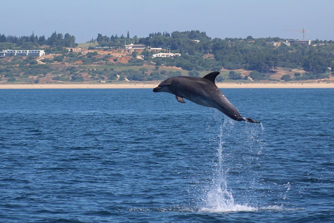 Dolphin-Watching in Marina de Lagos - Frequently Asked Questions