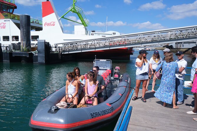 Dolphin Watching in Setúbal - About the Dolphin Watching Experience