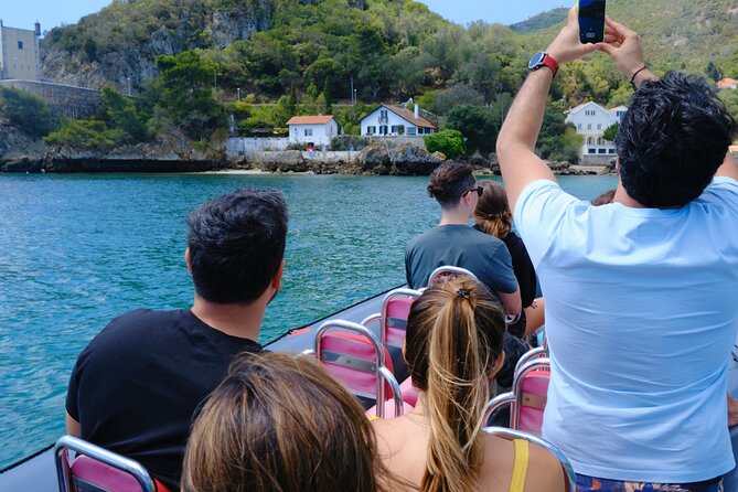 Dolphin Watching in Setúbal - Customer Reviews and Feedback
