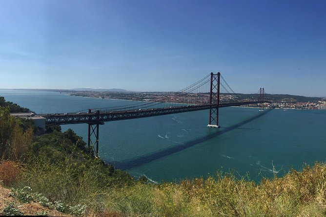 Dolphin Watching in the Wild - Half Day - What do the reviews tell us?