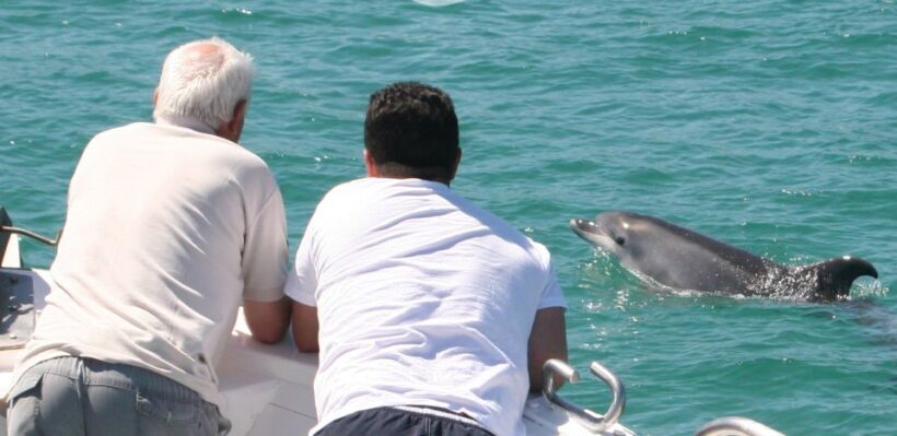 Dolphin Watching in the Wild - Half Day Private Tour - Frequently Asked Questions