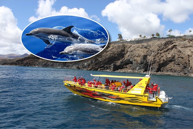 Dolphin Watching Mini Cruise and Snorkeling From Lanzarote - About Your Stay