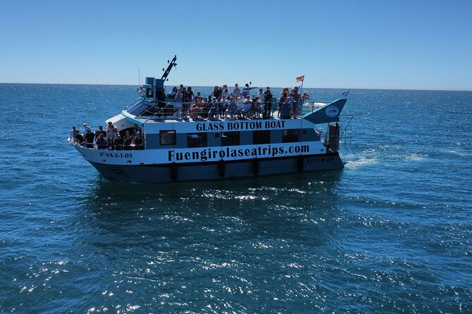 Dolphin Watching on a Catamaran in Fuengirola - Customer Reviews and Feedback