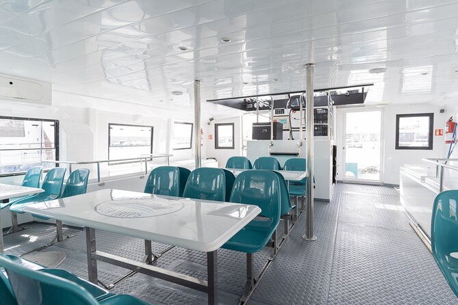 Dolphin Watching on a Catamaran in Fuengirola - Amenities and Inclusions