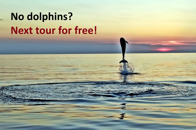 Dolphin Watching Sunset Speedboat Tour With Drinks in Rovinj - Key Points