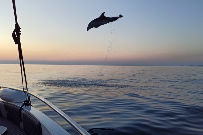 Dolphin Watching Sunset Speedboat Tour With Drinks in Rovinj - Participant Information