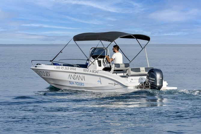 Dolphin Watching Sunset Speedboat Tour With Drinks in Rovinj - Customer Reviews