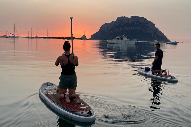 Dolphin Watching SUP Tour With Golfo Aranci Aperitif - Key Points