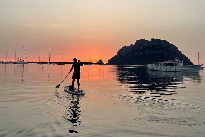 Dolphin Watching SUP Tour With Golfo Aranci Aperitif - Capturing Memories