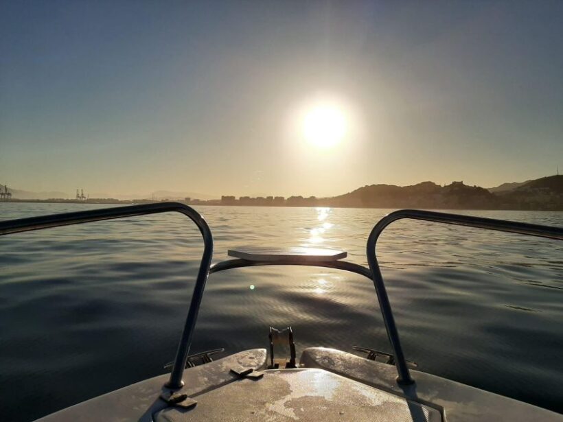 DOLPHIN WATCHING - What to Expect on Your Dolphin Watching Tour