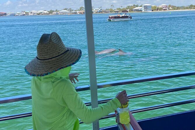 Dolphin Watching Tour in Orange Beach - The Experience: What to Expect on The Pink Boat