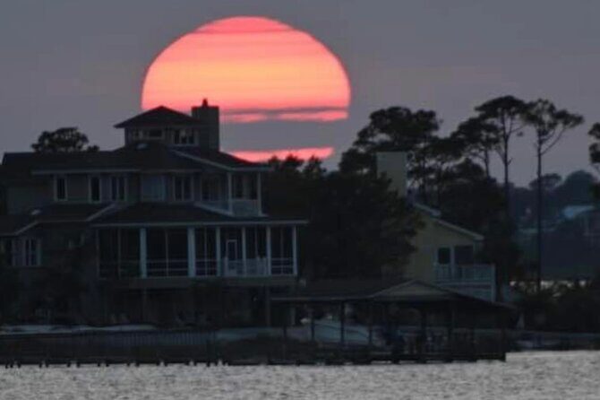 Dolphin Watching Tour in Orange Beach - Final Thoughts: Who Should Consider This Tour?
