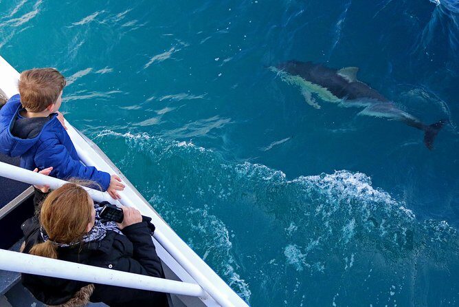 Dolphin & Whale Cruise - Who Will Love This Tour?