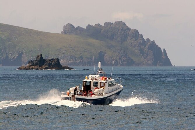 Dolphin & Whale Watching (4hrs) + Blasket Island Landing (3hrs) - Customer Reviews and Recommendations