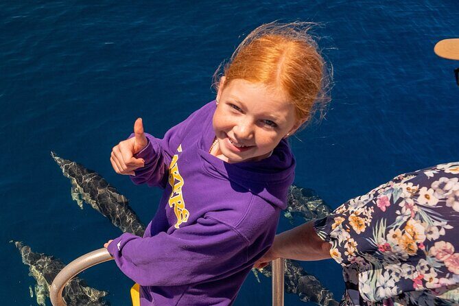 Dolphin & Wildlife Encounters - Setting the Scene: What to Expect on the Cruise